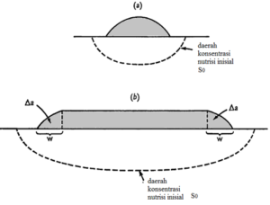 Spread Plate dan Pour Plate - Laboratorium Mikrobiologi Standar