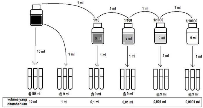 Pemilihan Jumlah Seri Tabung MPN - Laboratorium Mikrobiologi Standar