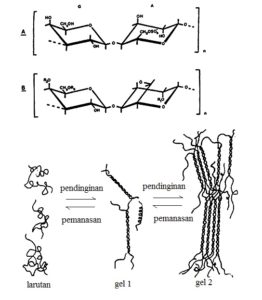 Bahan-bahan Media Pertumbuhan - Laboratorium Mikrobiologi Standar
