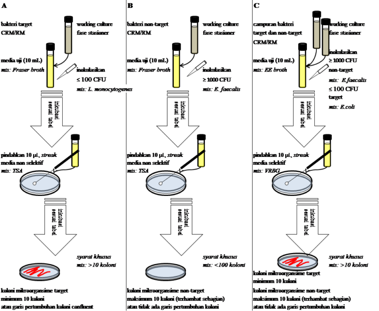 Pengujian Kinerja Media Cair - Laboratorium Mikrobiologi Standar