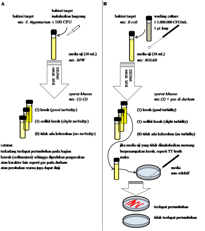 Pengujian Kinerja Media Cair - Laboratorium Mikrobiologi Standar